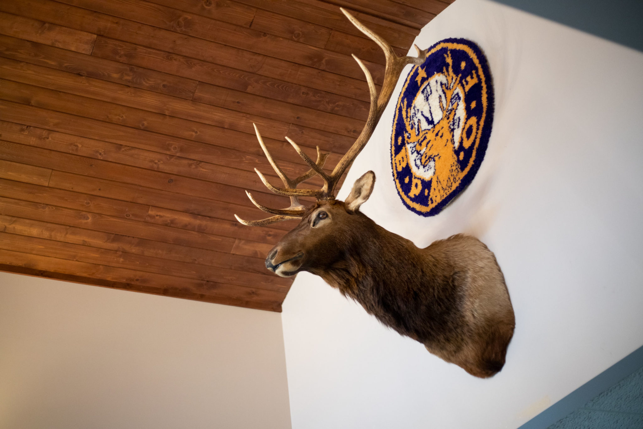 Flint Elks Club 150 Years of Giving - My City Magazine