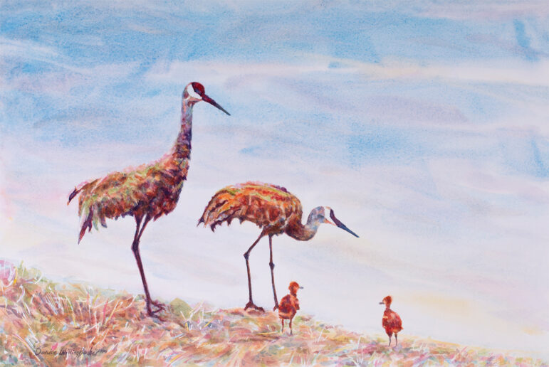 Painting to Inspire The Watercolor Artist Denise Willing-Booher - My ...